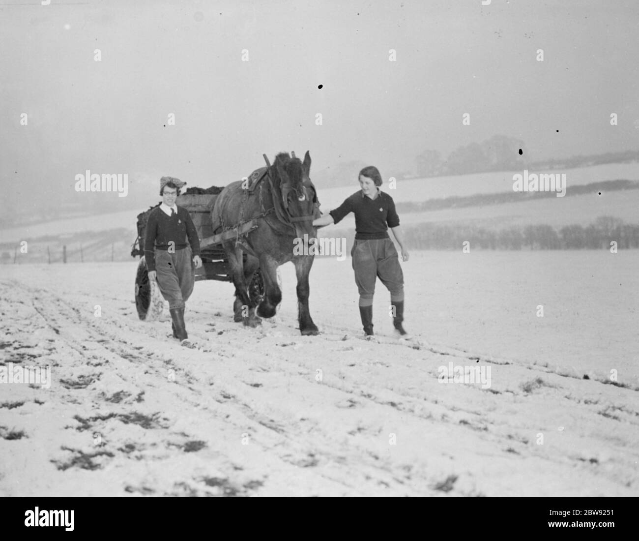 Charrette tirée par un cheval Banque de photographies et d’images à ...