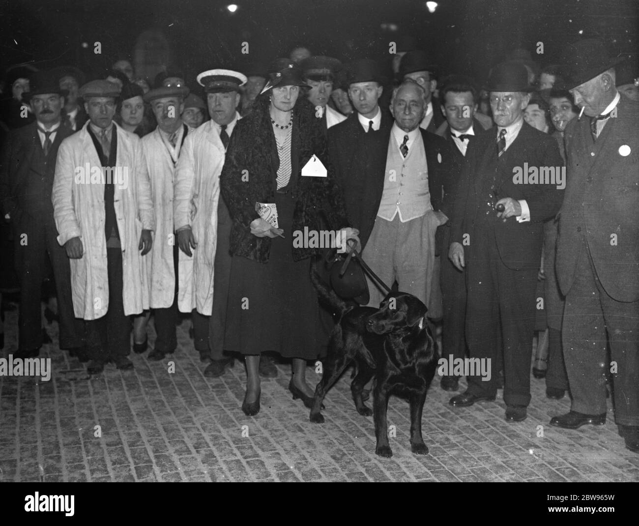 Champion de crufts appartenant à la comtesse Howe . Bramshaw Bob ...