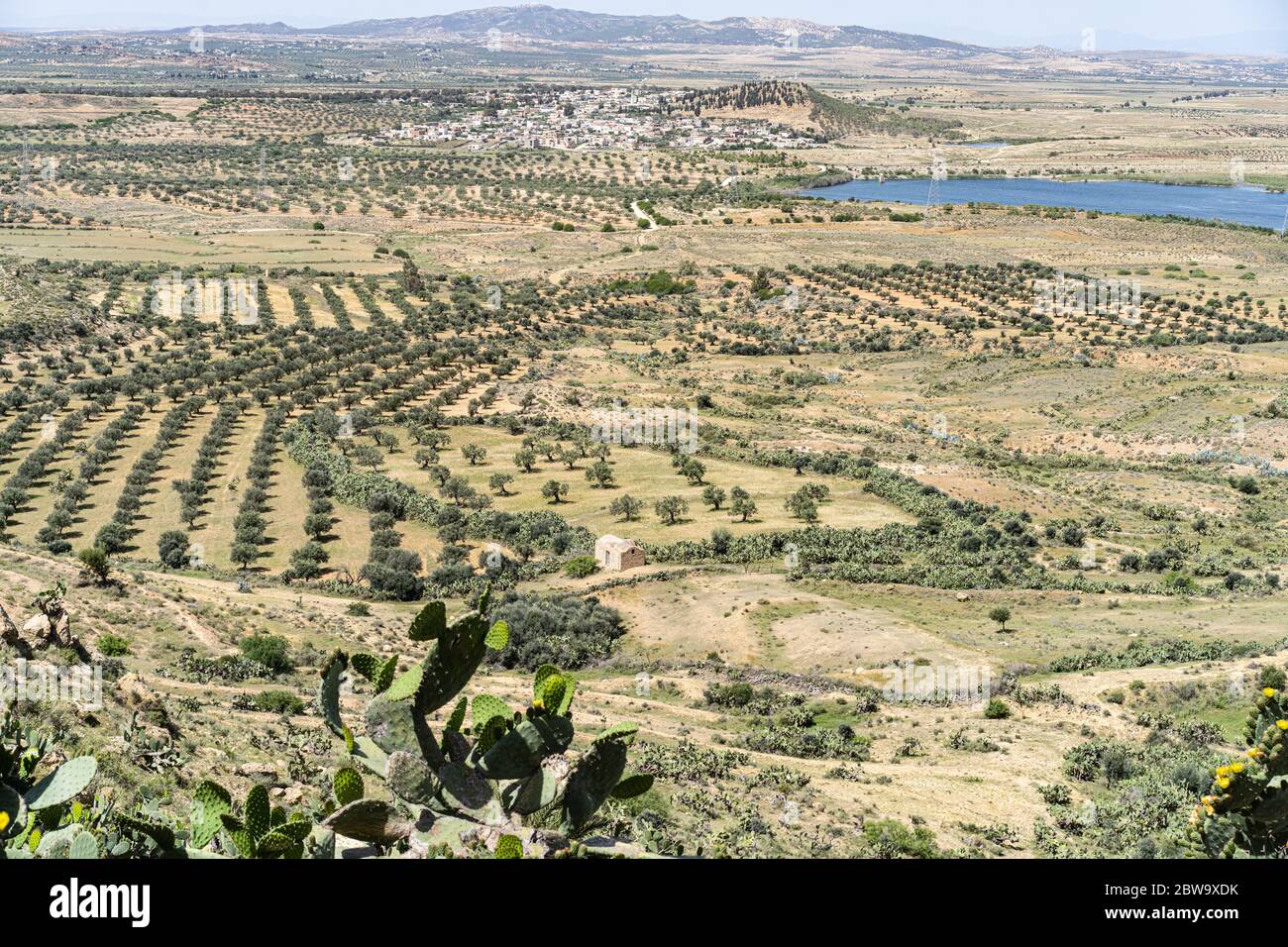 Takrouna tunisia Banque de photographies et d’images à haute résolution ...
