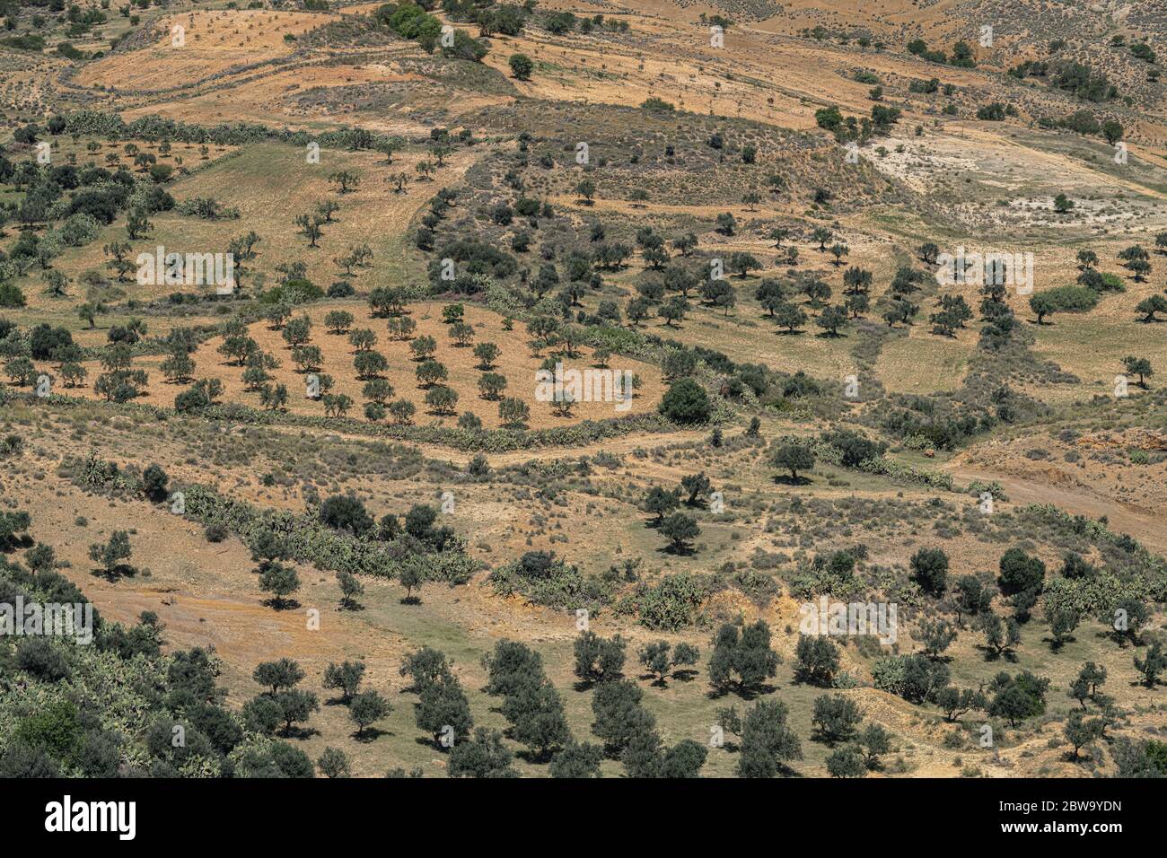 Takrouna tunisia Banque de photographies et d’images à haute résolution ...