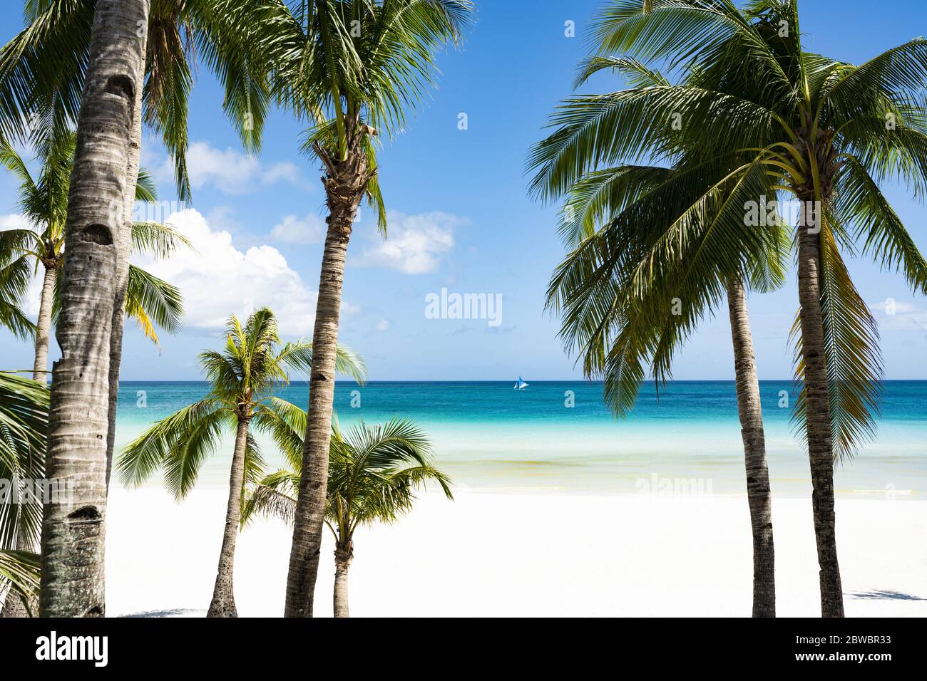 (Mise au point sélective) vue imprenable sur une plage de sable blanc ...