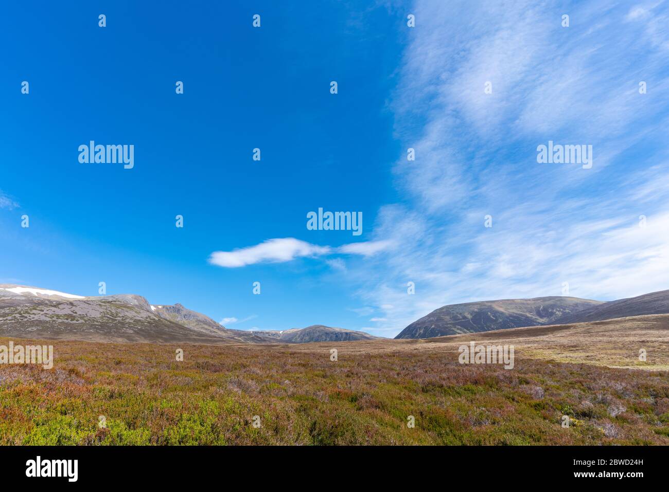 Glen quoich Banque de photographies et d’images à haute résolution - Alamy