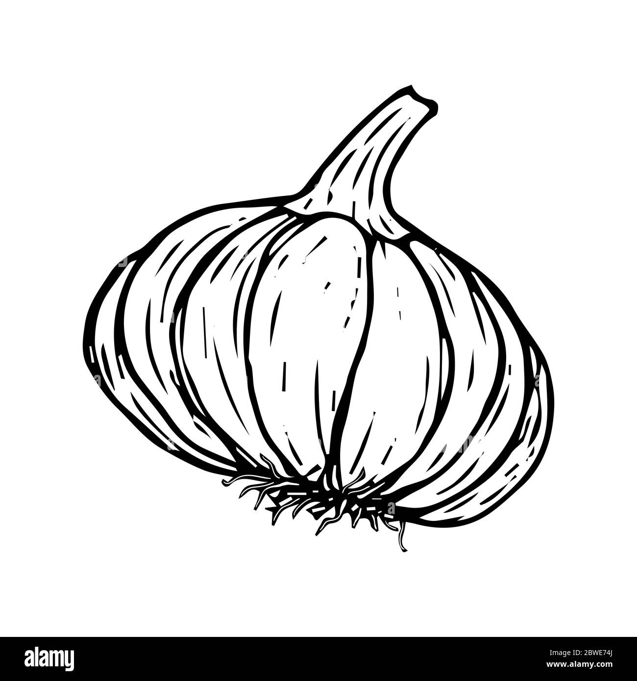 Dessin ail ligne noire isolée sur fond blanc illustration vectorielle ...