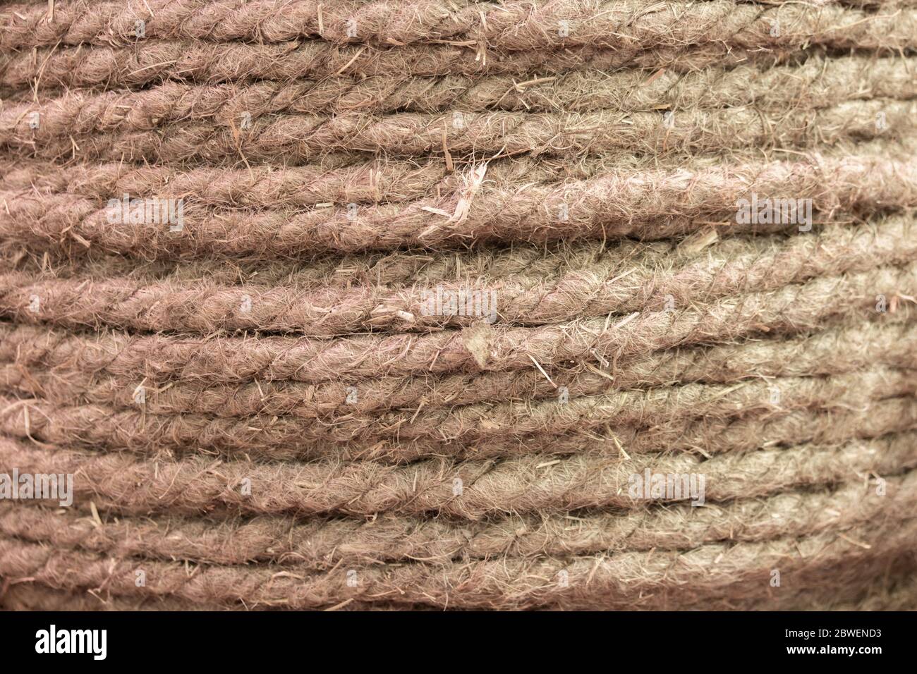 Hemp fiber Banque de photographies et d’images à haute résolution - Alamy