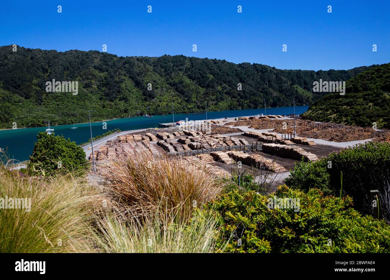 Waimahara wharf Banque de photographies et d’images à haute résolution ...