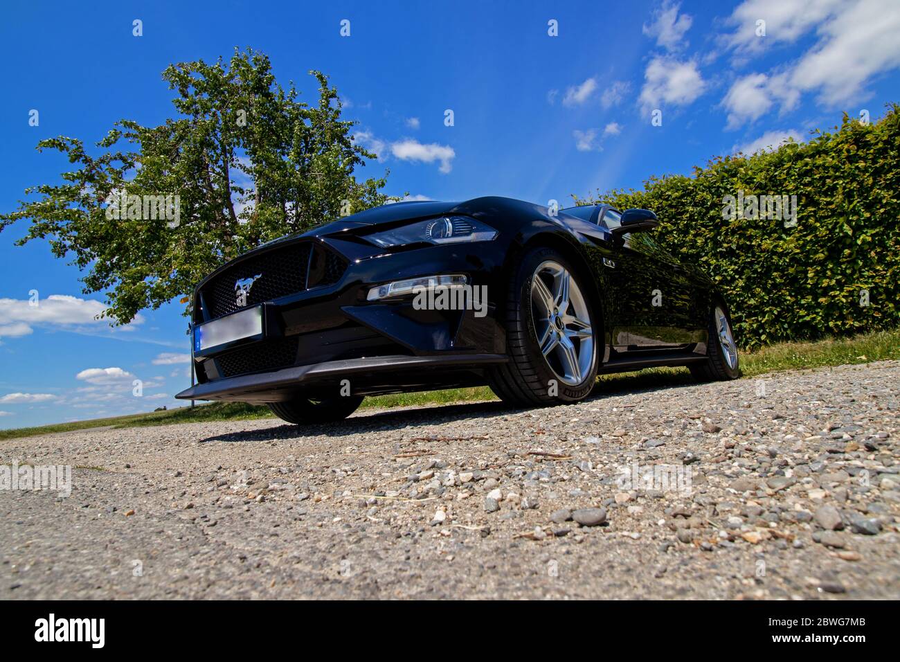 Ford mustang v8 gt Banque de photographies et d’images à haute résolution - Alamy