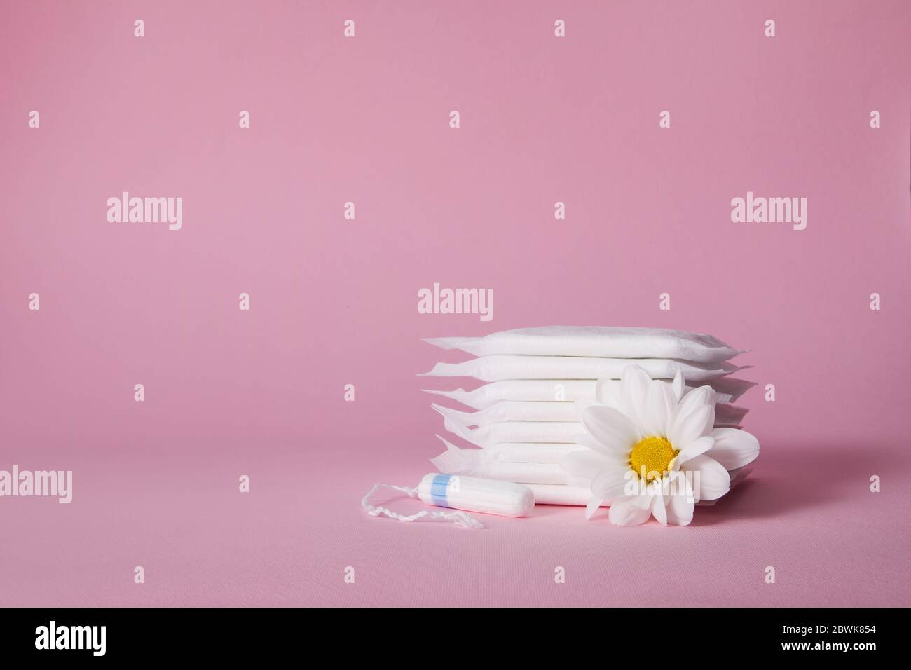 tampons de coton hygiéniques menstruels, tampon et fleur de camomille ...