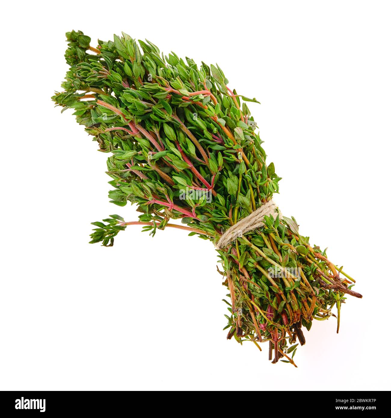 Thym frais Banque de photographies et d’images à haute résolution - Alamy