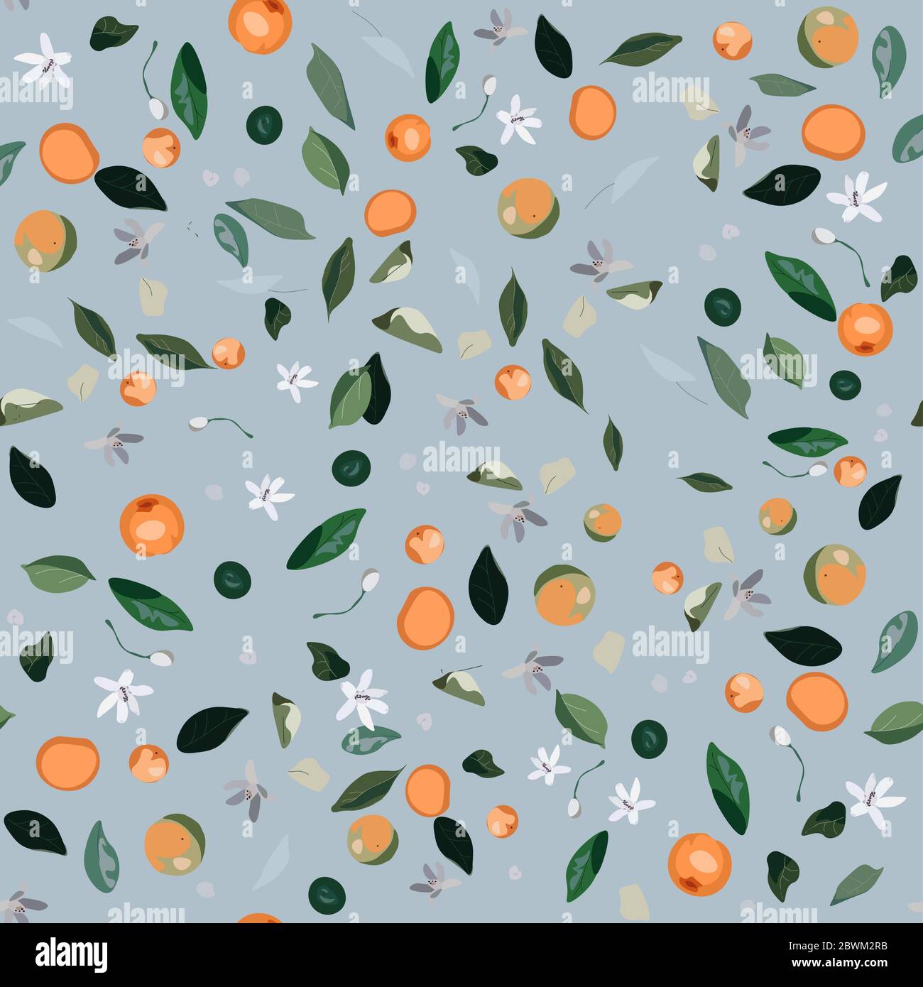 Fleurs et fruits sur fond noir Banque de photographies et d’images à ...