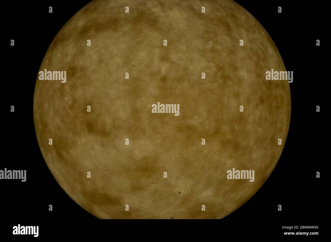 Lune jaune Banque de photographies et d’images à haute résolution - Alamy