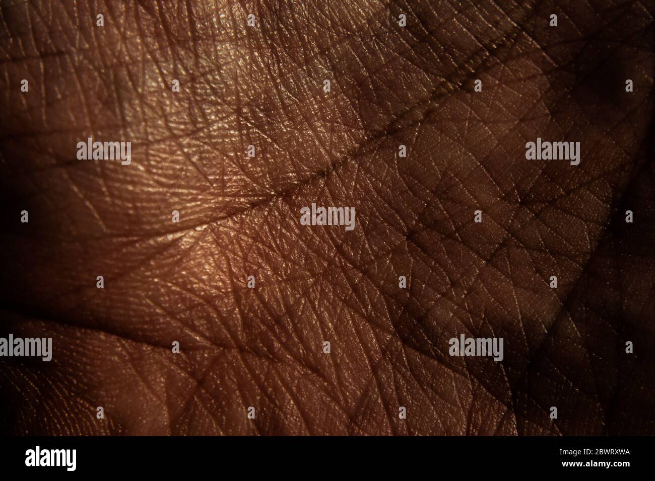 Human skin texture black Banque de photographies et d’images à haute ...