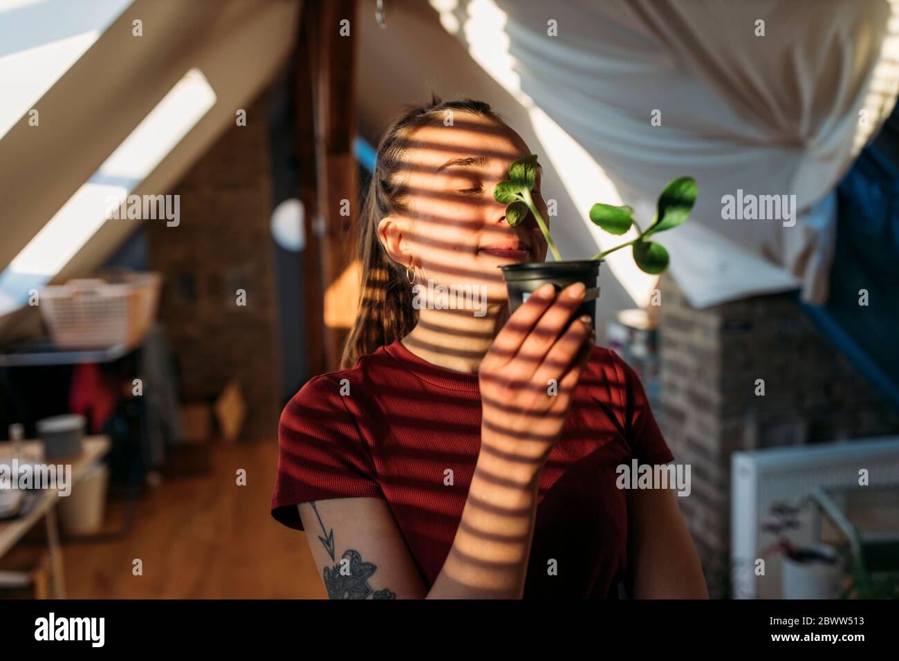Courgette femme Banque de photographies et d’images à haute résolution ...