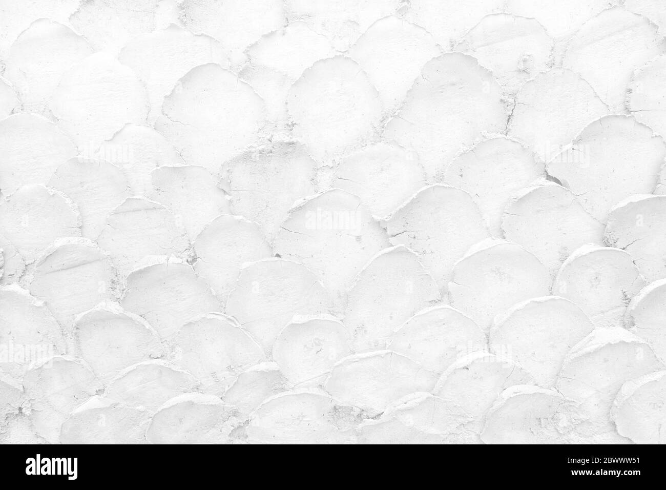 Structure of a fish scale Banque d'images noir et blanc - Alamy
