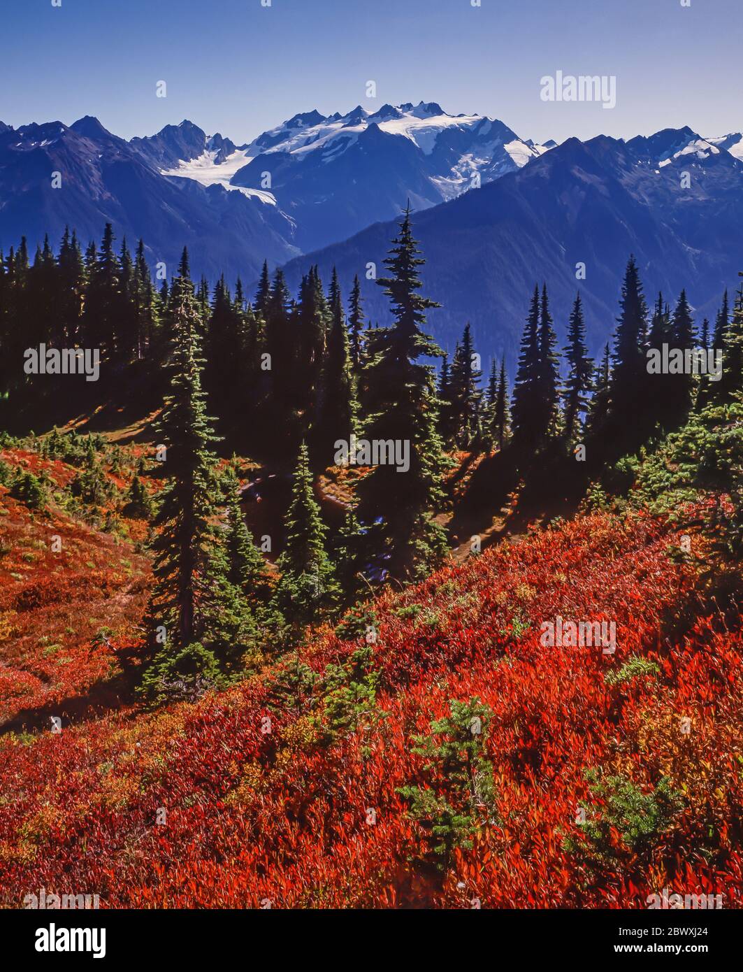 Mount Olympus National Park Banque d'image et photos - Alamy