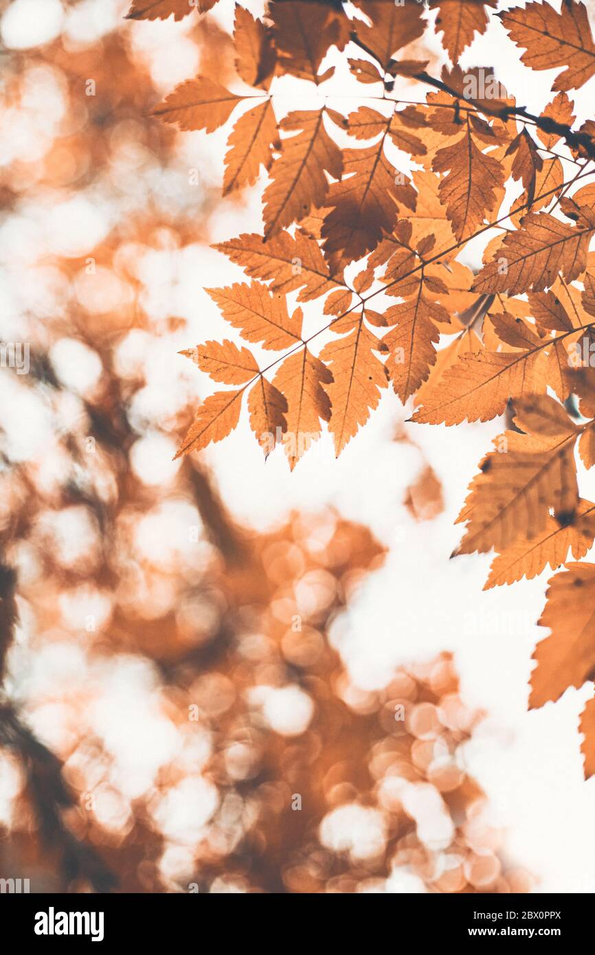 Ecran Paysages Plus Quotations Fond Ed Flash Sales | www.simpleplanning.net