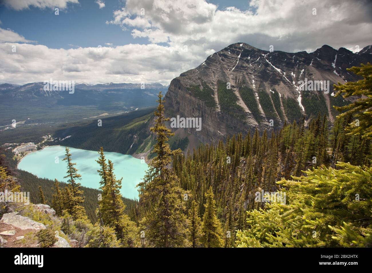 Big beehive Banque de photographies et d’images à haute résolution - Alamy
