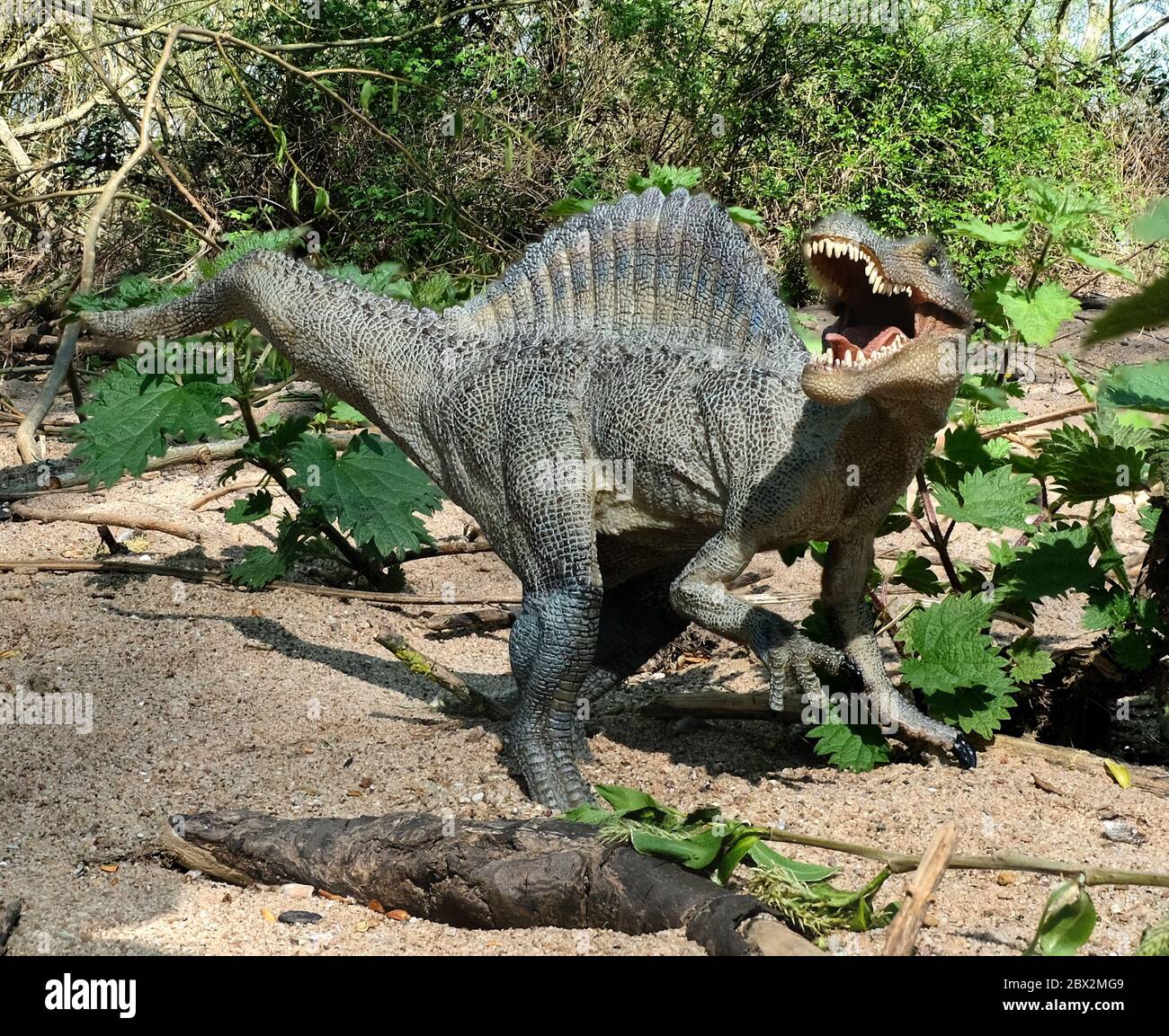Dinosaur dinosaurs dino spinosaurus Banque de photographies et d’images à haute résolution - Alamy