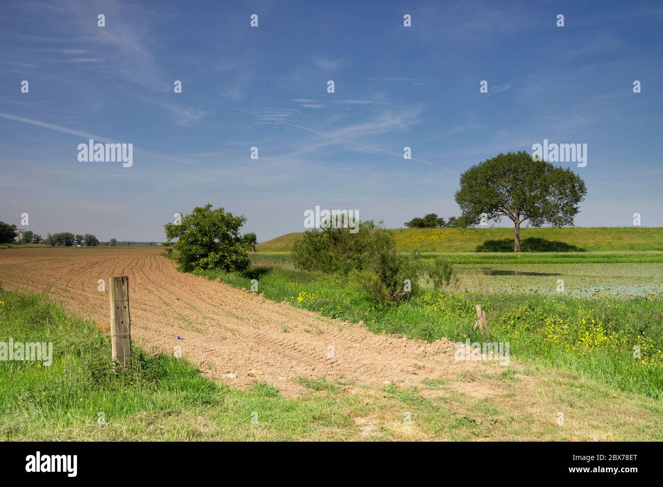 Champ de digue Banque de photographies et d’images à haute résolution ...