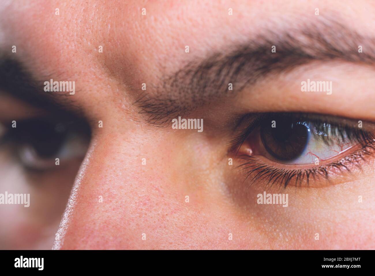 Blood red iris Banque de photographies et d’images à haute résolution ...