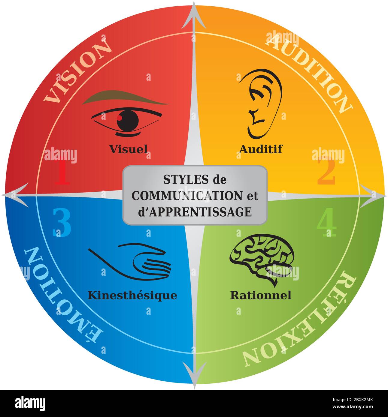 Quatre styles de communication d'apprentissage, coaching de vie et ...