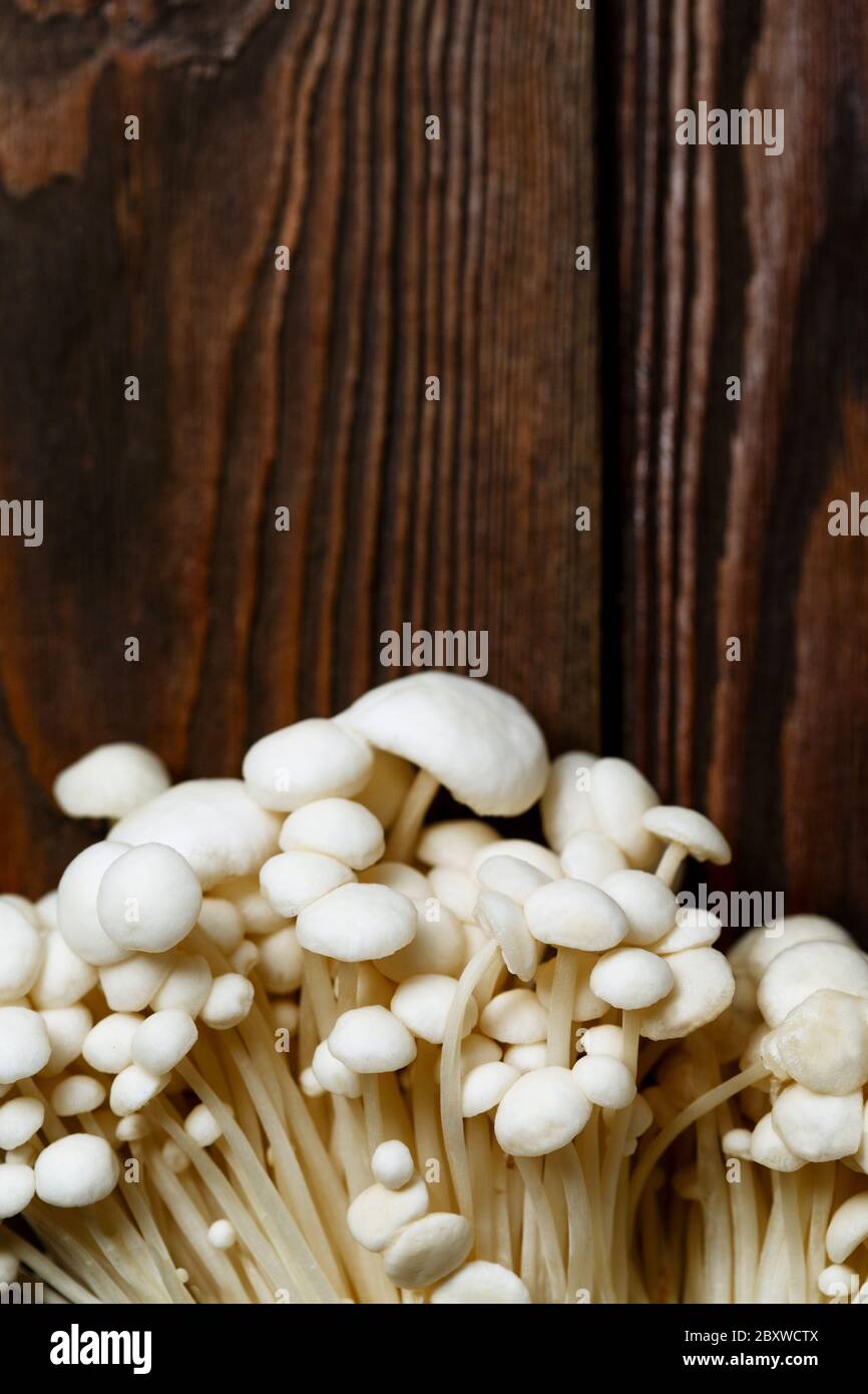 Champignons enoki flammulina Banque de photographies et d’images à ...