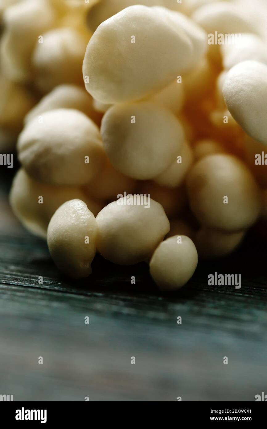 Champignon enoki champignon Banque de photographies et d’images à haute ...