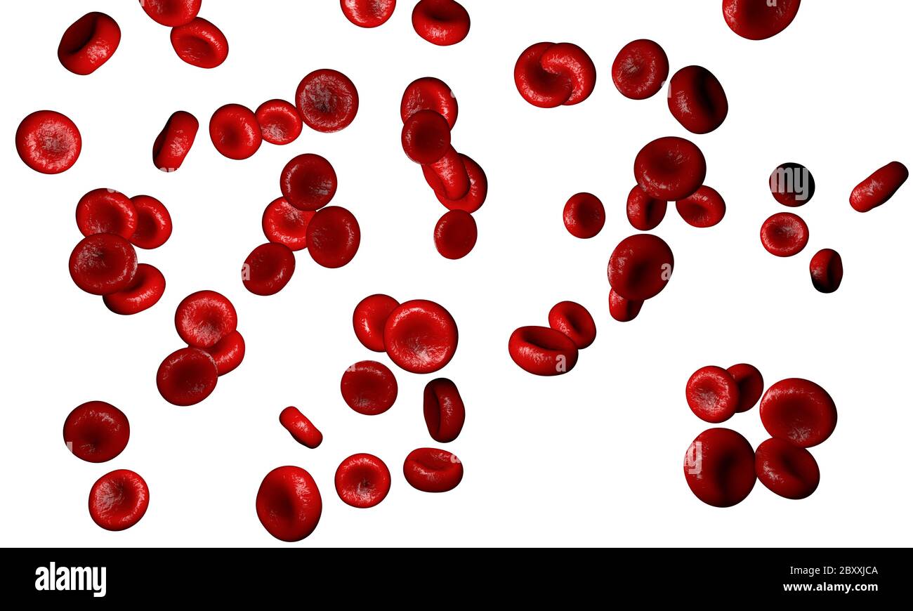 Érythrocytes, hématies, anatomie concept médical. rendu 3d Photo Stock ...