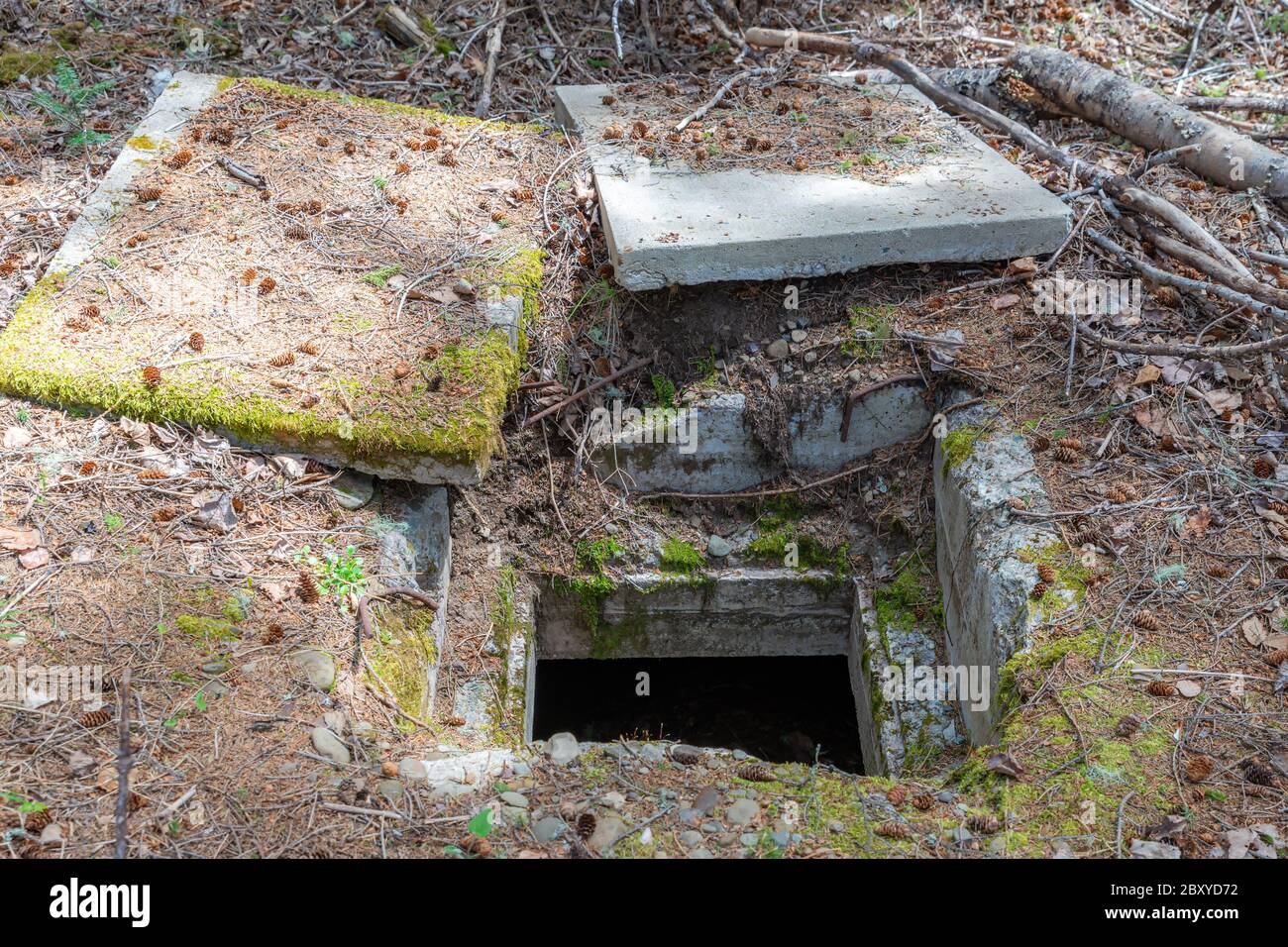 L'entrée d'un ancien bunker souterrain en béton. L'entrée est ouverte ...