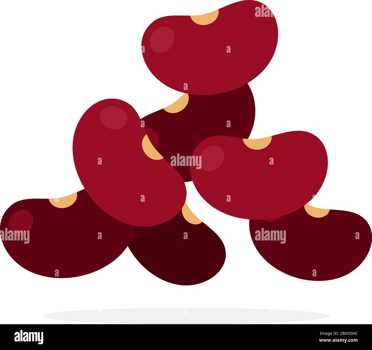 Haricot rouge Banque d'images vectorielles - Alamy