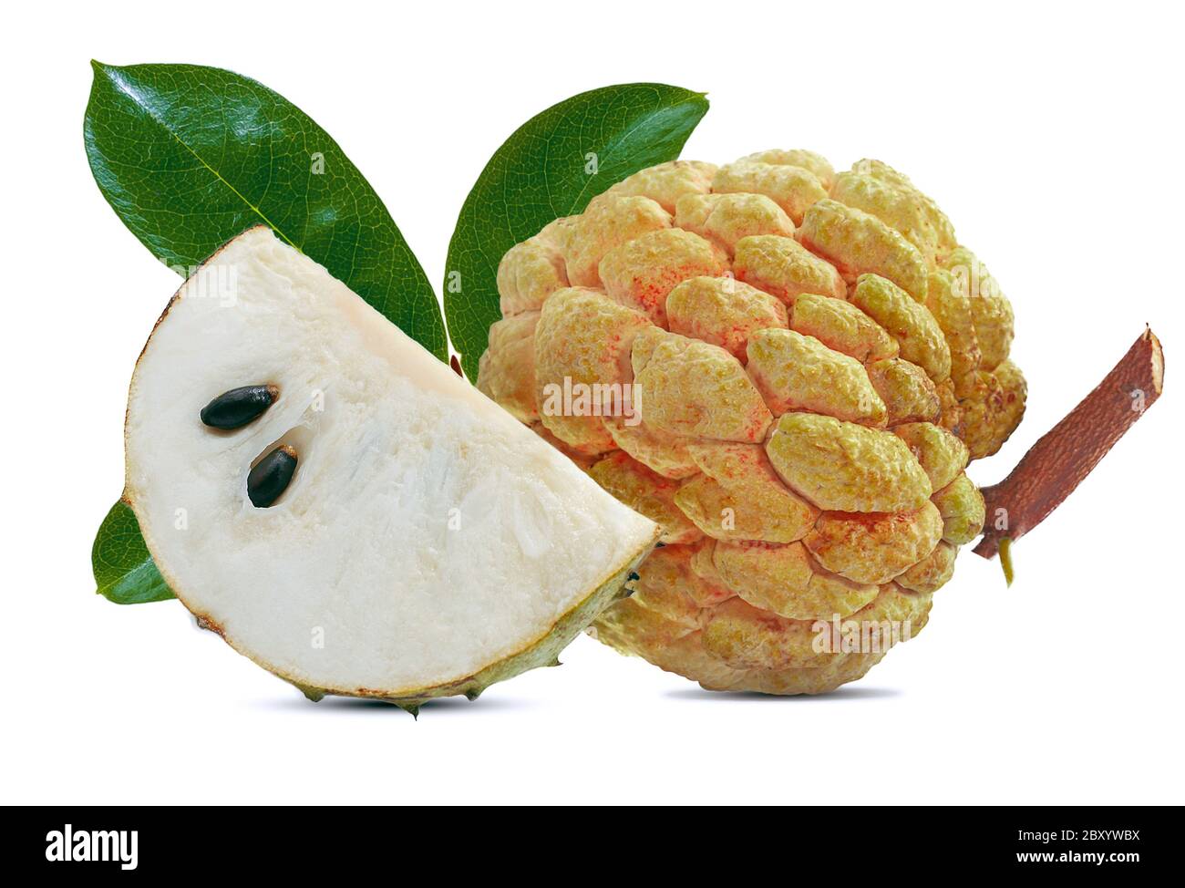 Annona fruit Banque de photographies et d’images à haute résolution - Alamy