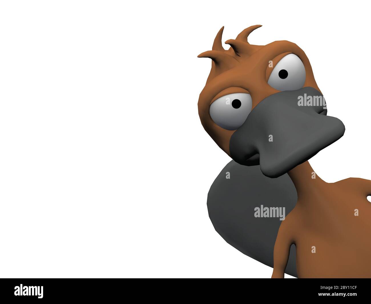 ornithorynque sur fond blanc Photo Stock - Alamy