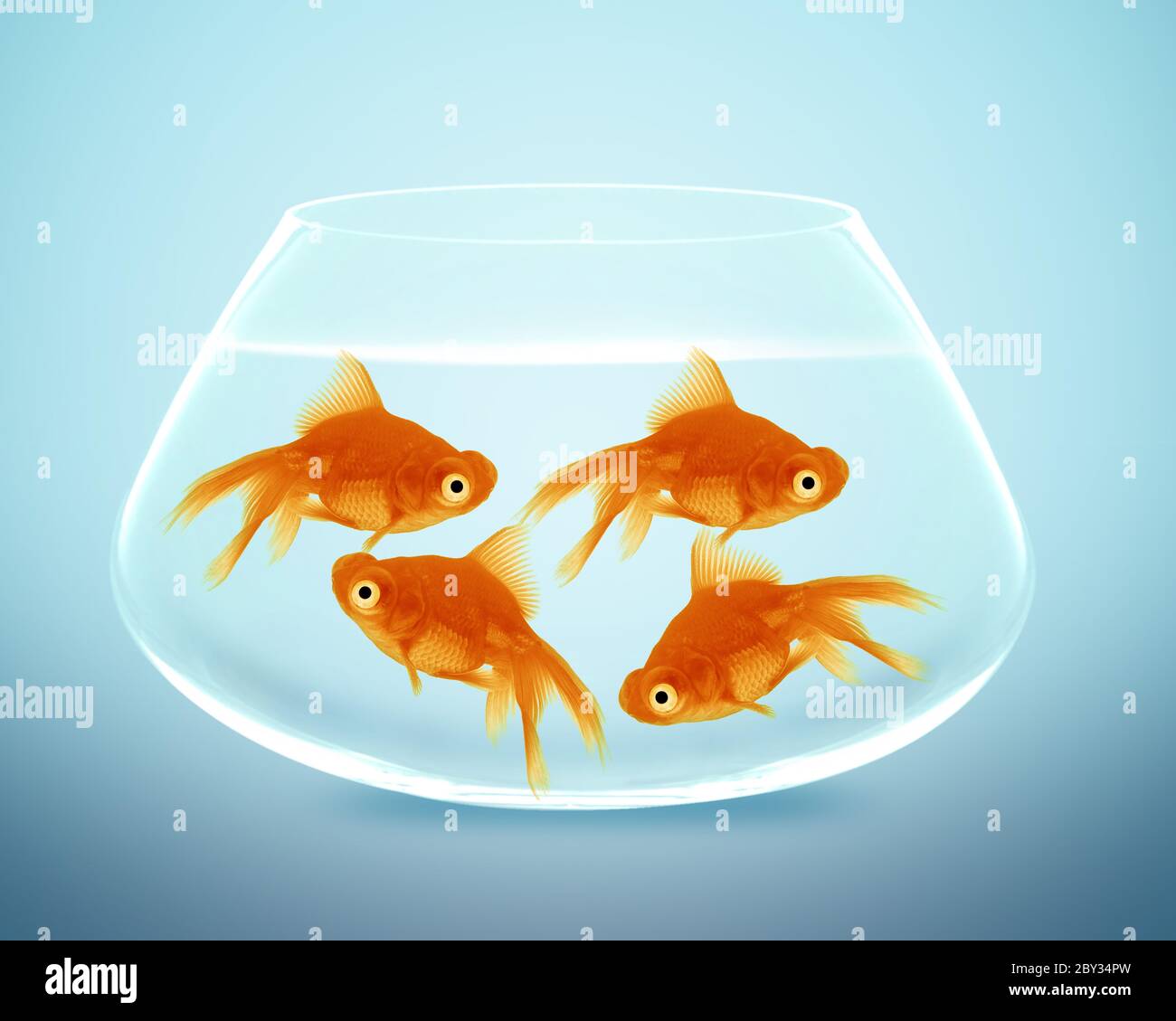 Bocal de poissons rouges Banque de photographies et d’images à haute ...