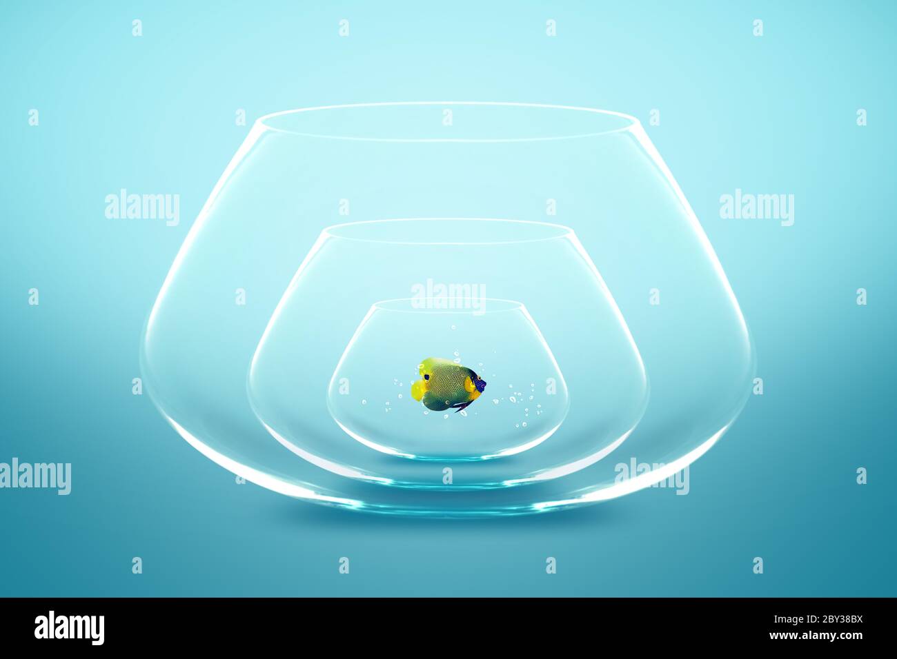 Bocal à poisson Banque de photographies et d’images à haute résolution ...