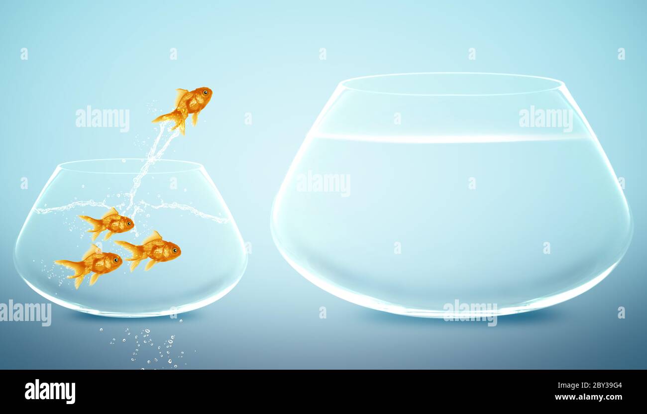 Bocal de poissons rouges Banque de photographies et d’images à haute ...