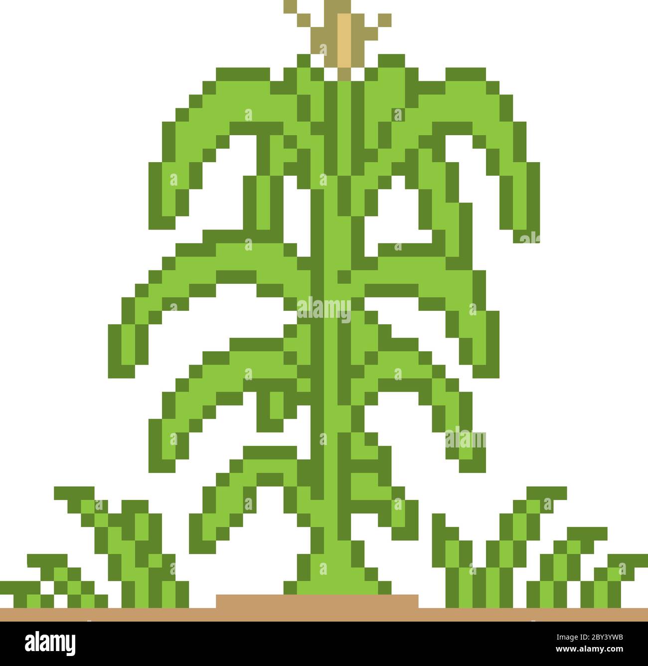 Arbol de maiz Banque d'images vectorielles - Alamy