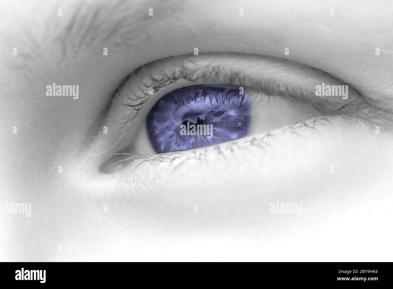 Oeil avec une pupille bleue Banque de photographies et d’images à haute ...