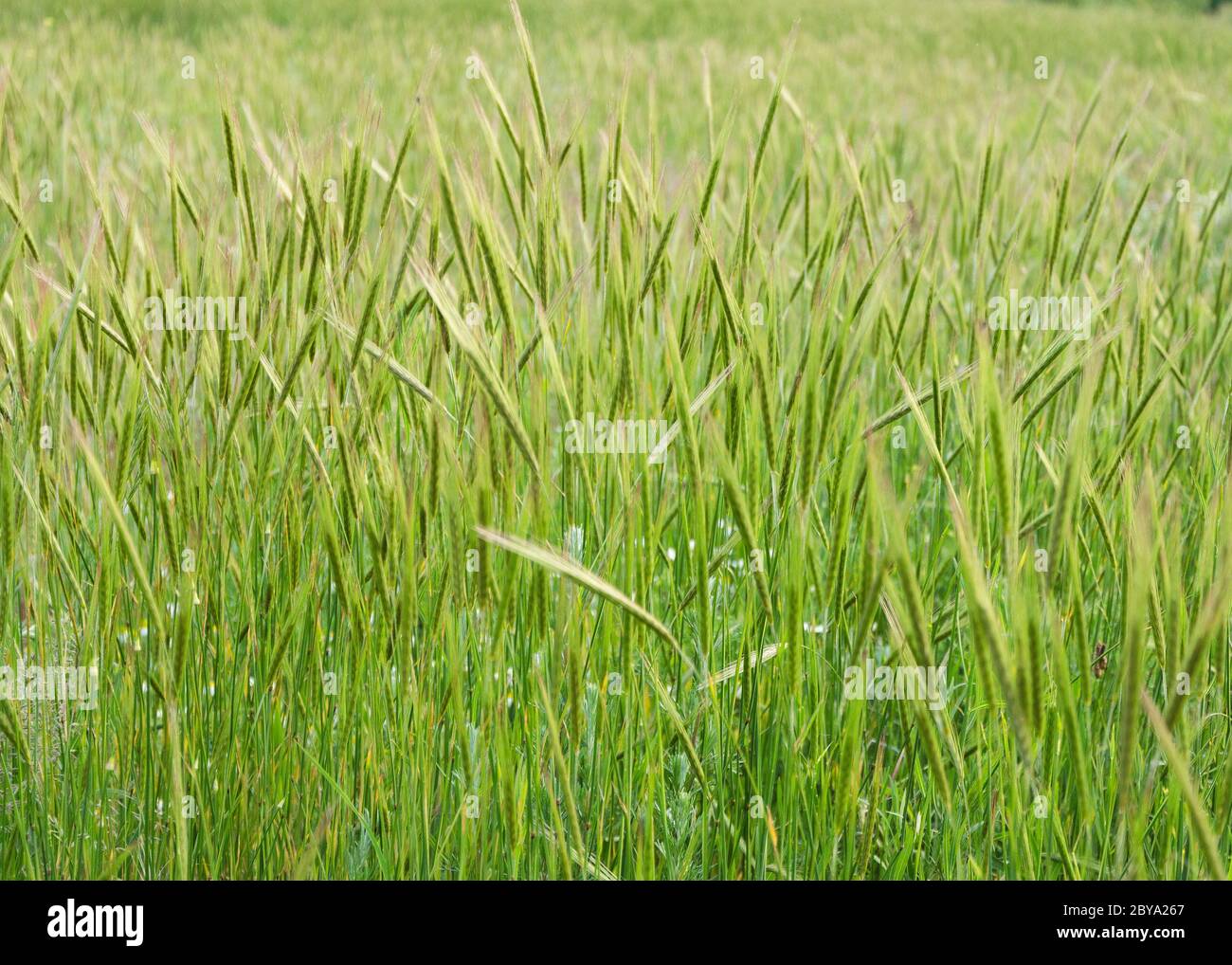Soleil 4 Banque de photographies et d’images à haute résolution - Alamy