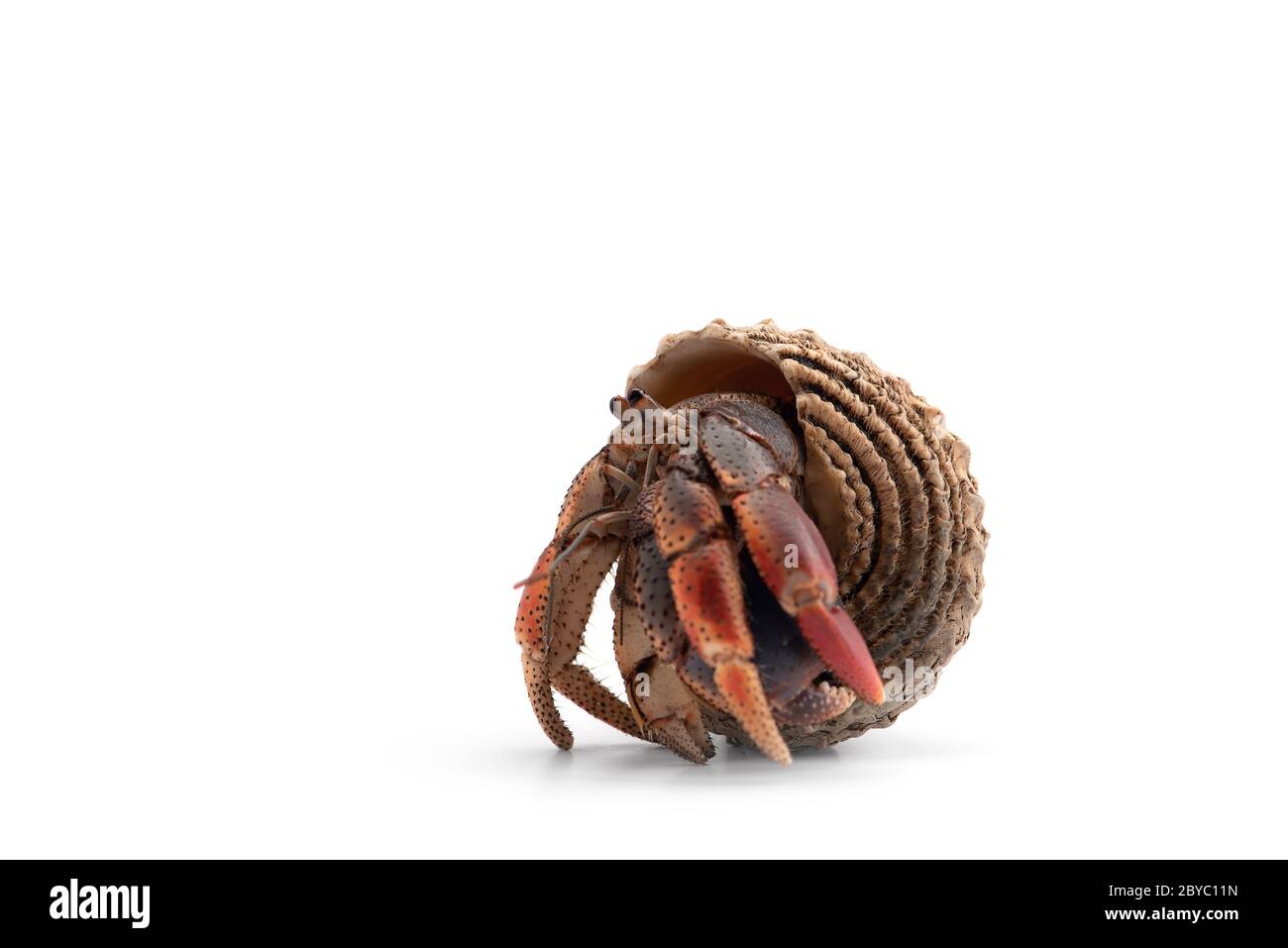 Plage ermite Banque d'images détourées - Alamy