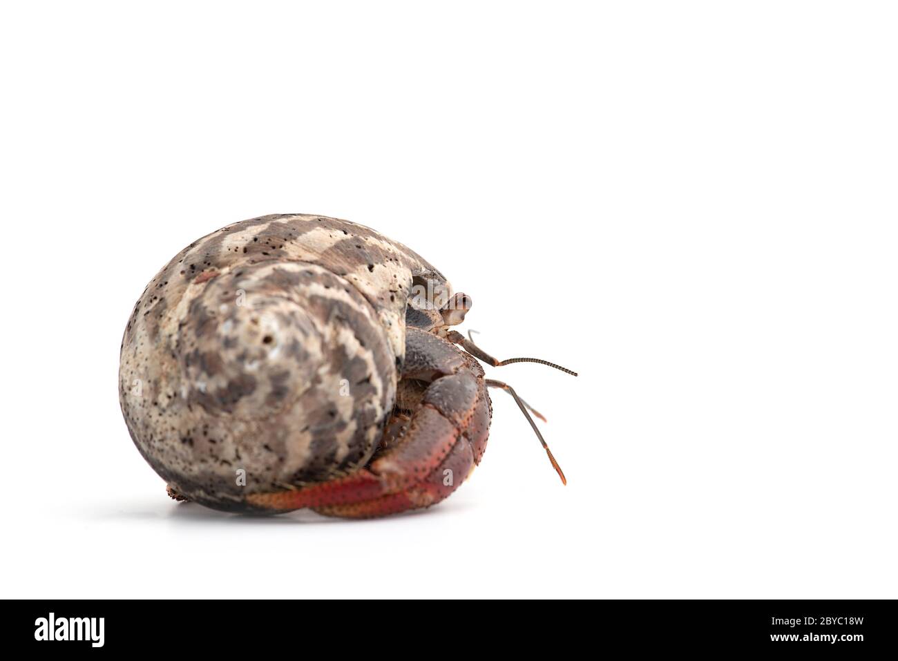 Plage ermite Banque d'images détourées - Alamy