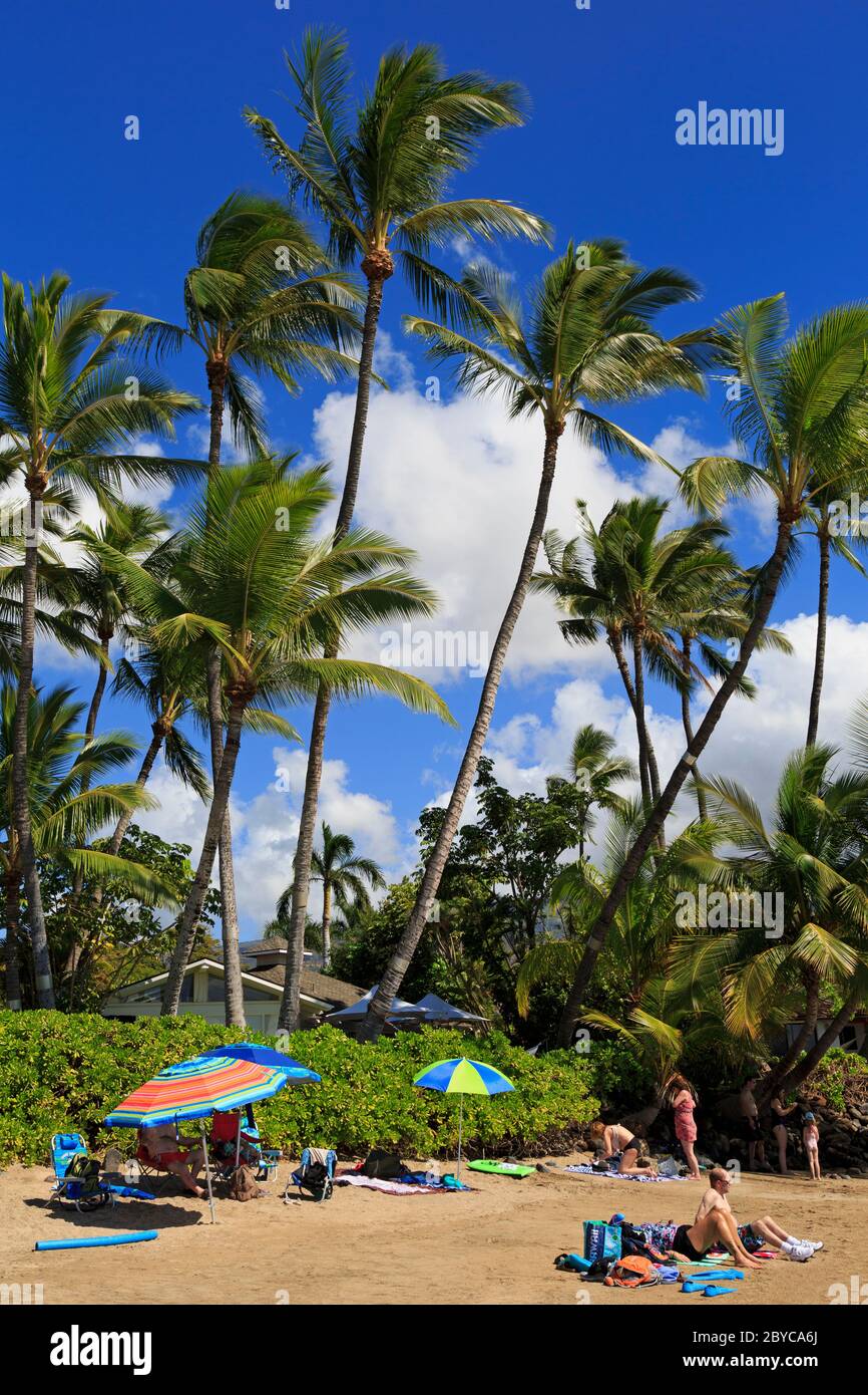 Lahaina beach Banque de photographies et d’images à haute résolution ...