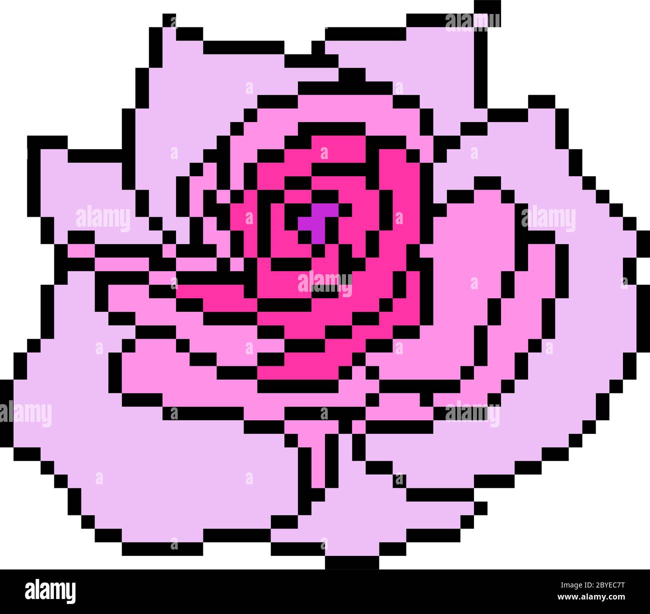 Rose violette Banque d'images vectorielles - Alamy