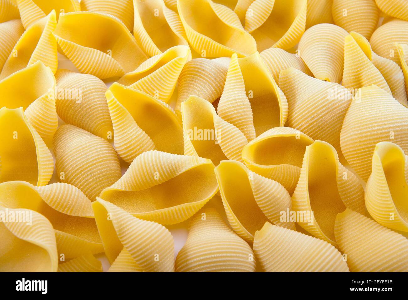 Coquillette pasta Banque de photographies et d’images à haute ...