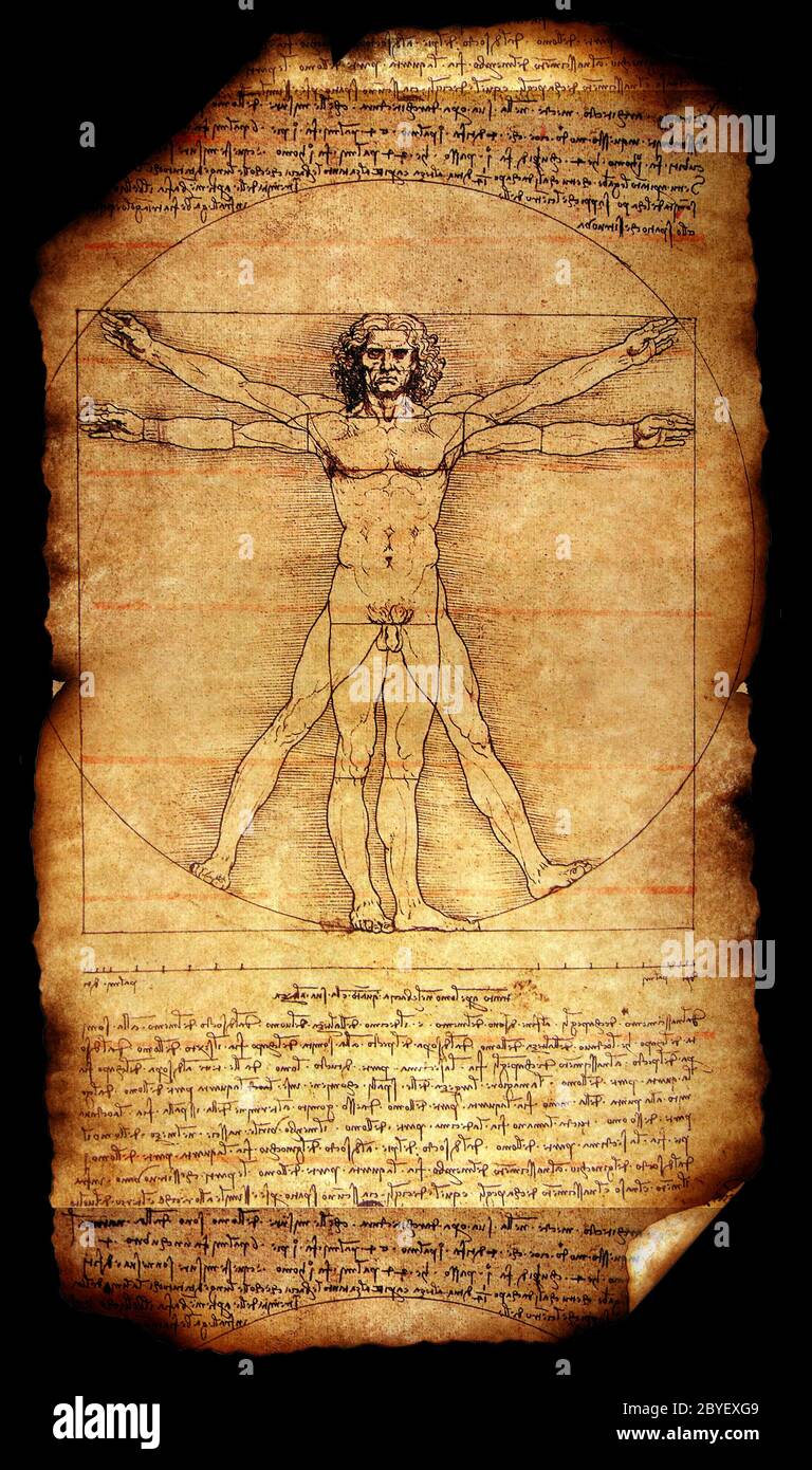 Photo de l'homme de Vitruve par Leonardo Da Vinci de 1492 sur fond ...