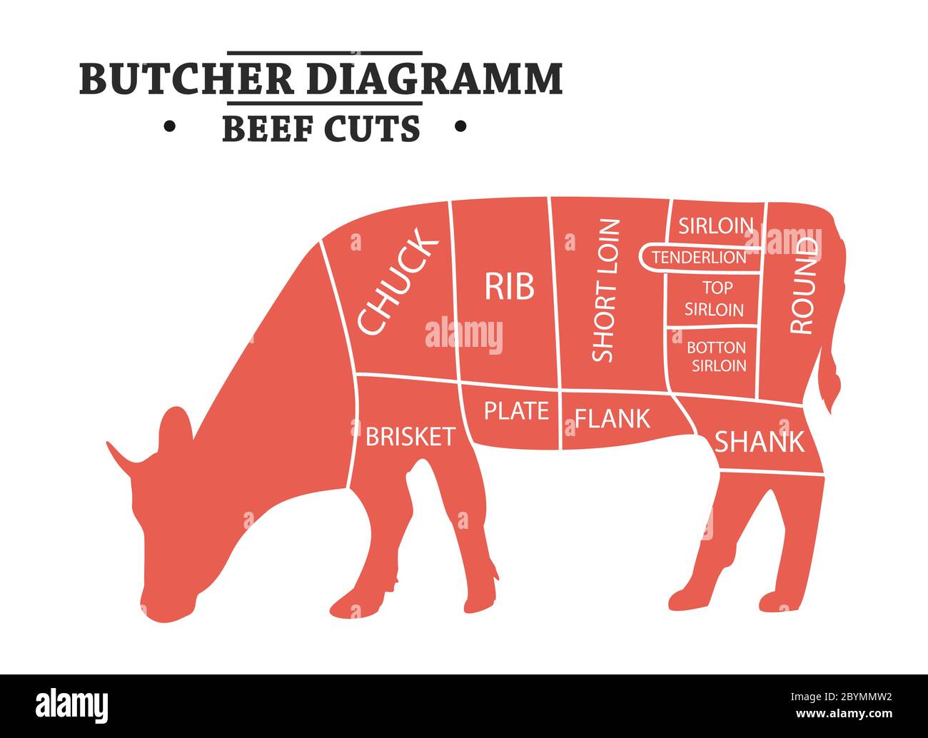 Assiette de poitrine de boeuf Banque d'images vectorielles - Alamy