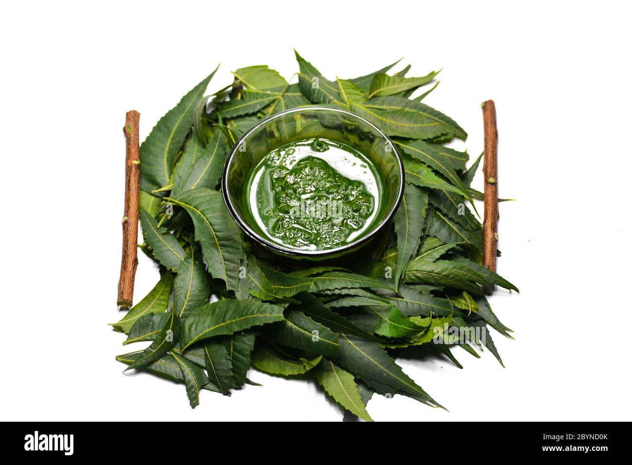 Feuilles de neem ou d'azadirachta indica ayurvédique médicinales avec ...