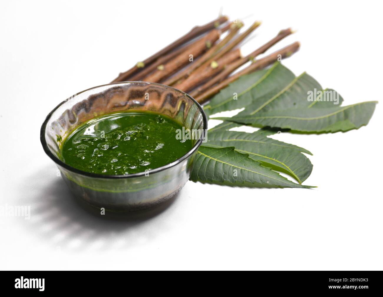 Feuilles de neem ou d'azadirachta indica ayurvédique médicinales avec ...