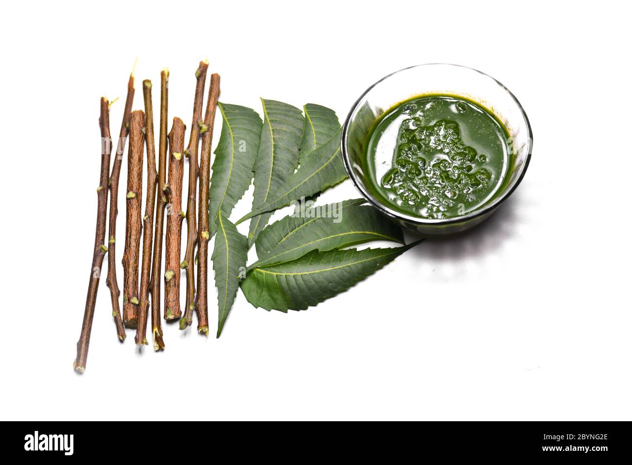 Feuilles de neem ou d'azadirachta indica ayurvédique médicinales avec ...