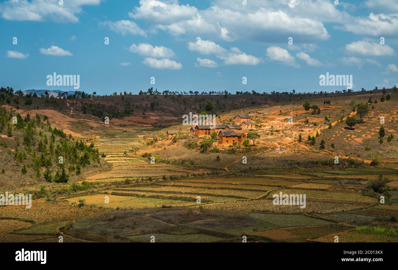 Paysage de rizière madagascar Banque de photographies et d’images à ...