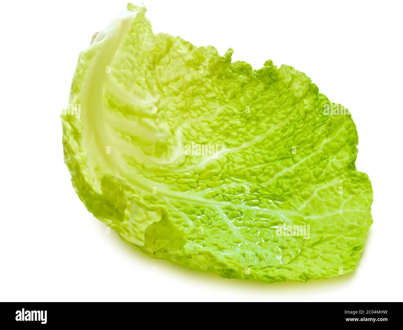 Feuille de chou mangeant Banque de photographies et d’images à haute ...