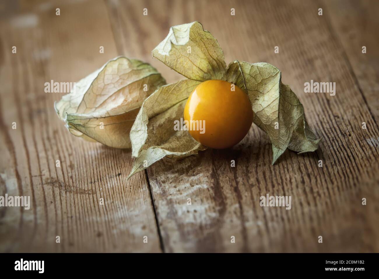 Physalis fruit Banque de photographies et d’images à haute résolution ...